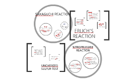 SAKAGUCHI REACTION by Szur Pendatun on Prezi