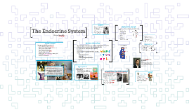 The Endocrine System by Kit Greulich on Prezi