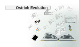 Ostrich Evolution by Manuela Sandoval on Prezi