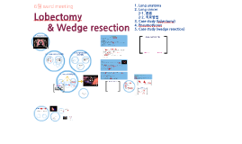 Case study by soyeon lee on Prezi