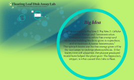 Floating Leaf Disk Assay Lab by on Prezi