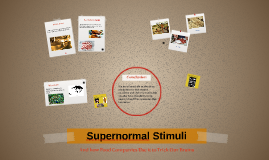 Respiratory system by Nathan Brown on Prezi