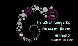 In What Ways Do Humans Harm Animals? by alex wyman on Prezi