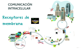COMUNICACIÓN INTRACELULAR by Nelly Luna on Prezi
