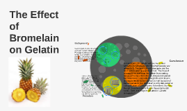 The Effect of Bromelain on Gelatin by Victoria Espinoza on Prezi