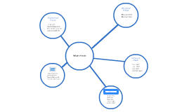 Australian Outback Food Web by milad hafizy on Prezi