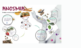 Anosmia by on Prezi