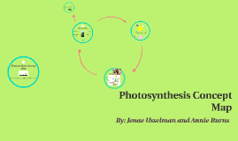 Photosynthesis Concept Map by Annie Burns on Prezi