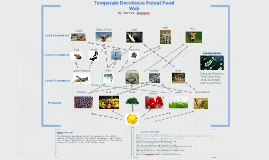 Genetics Project-Design a Species by DJ Fortner on Prezi