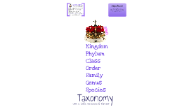10/22 Taxonomy KPCOFGS by Leah Clement on Prezi