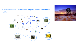 California Mojave Desert Food web by Marlowe Macaranas on Prezi