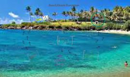 Beach ecosystem.. by Jrobbyn Ferguson on Prezi