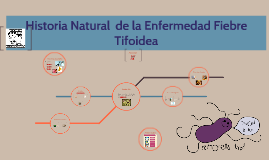 Virus Motaba by Heydy Bojorquez on Prezi