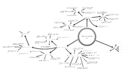 Confederation Mind Map by Ryan Wong on Prezi