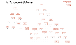 Food Web - Taxonomy Project by Savannah Perry on Prezi