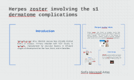 Herpes zoster involving the s1 dermatome complications by Sofía ...
