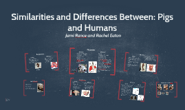 Pigs and Humans by Rachel Eaton on Prezi
