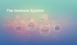 Galinsky's Stages of Parenthood by Jill Brooks on Prezi