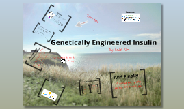 Genetically Modified Insulin by H Kim on Prezi