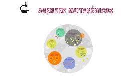 AGENTES MUTAGENICOS by rocio barcena on Prezi