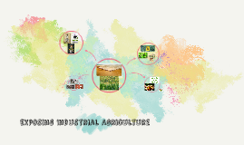 HEB ORGANIZATIONAL STRUCTURE by amy lopez on Prezi