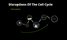 Disruptions of the Cell Cycle by Valeria Grimary on Prezi