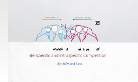 Interspecies and Intraspecies Competition by Aiden Million on Prezi