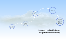 Importance of Acids, Bases, and pH in the human body by Mia Wamsley on ...