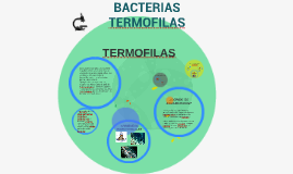 BACTERIAS TERMOFILAS by Cristian Gomez on Prezi