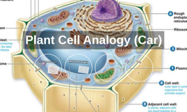 Tenant Farming and Sharecropping by Michelle Barraza on Prezi