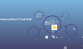 Sonoran Desert Food Web by David Thao on Prezi