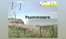 Dillon Sutherland on Prezi