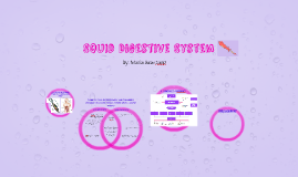 Squid Digestive System by Maria Jose Sanz Castro on Prezi