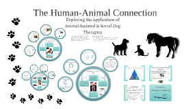 The Human-Animal Connection: Exploring Applications of Animal Assisted ...