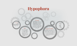 Hypophora by Alaina Armendariz on Prezi