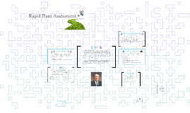 Rapid Plant Assessment by Chain Norman on Prezi