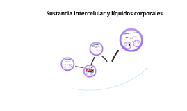 Sustancia intercelular y liquidos corporales by on Prezi