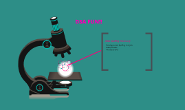 DSA Spelling Inventory by Kara McDonald on Prezi