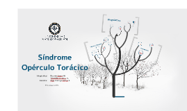 Síndrome de Opérculo Torácico Kinesiología USS Osorno 2014 by Sebastián ...