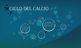 CICLO DEL CALCIO by on Prezi