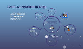 Artificial Selection of Dogs by Bianca simmons on Prezi