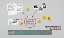 Tree Bark Skin Disorder by Ciara Perozzi on Prezi