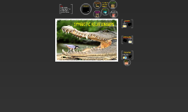 SYMBIOTIC RELATIONSHIPS by Jessica Worsham on Prezi