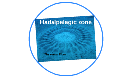 HADALPELAGIC ZONE by kelsey sewell on Prezi