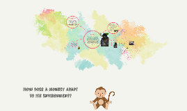 the adaptation of monkeys for survival by Cristina Iachimov on Prezi