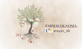 TECNICAS ASEPTICAS by on Prezi