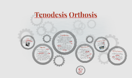 Tenodesis Orthosis by Tamar Rojas on Prezi