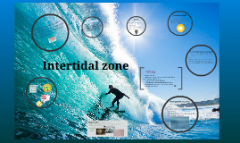 Intertidal zone Biome by olivia lampson on Prezi