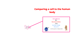 Comparing a cell to the human body by Nathan C on Prezi