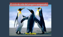 El ciclo de vida del pinguino emperador by Dahlia Navarro on Prezi